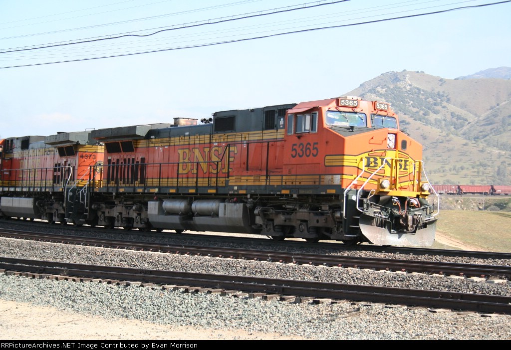 BNSF 5365